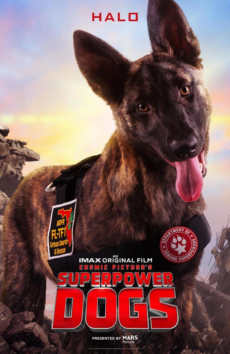 Superpower Dogs - Cincinnati Museum Center