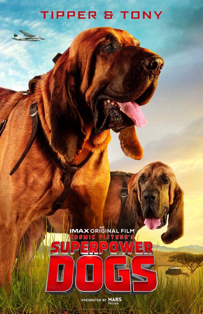 Superpower Dogs - Cincinnati Museum Center