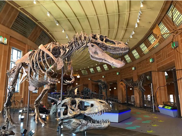 Cincinnati Museum Center debuts new exhibits for July 17 reopening ...