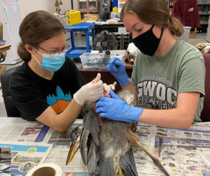 Internship Opportunities - Cincinnati Museum Center