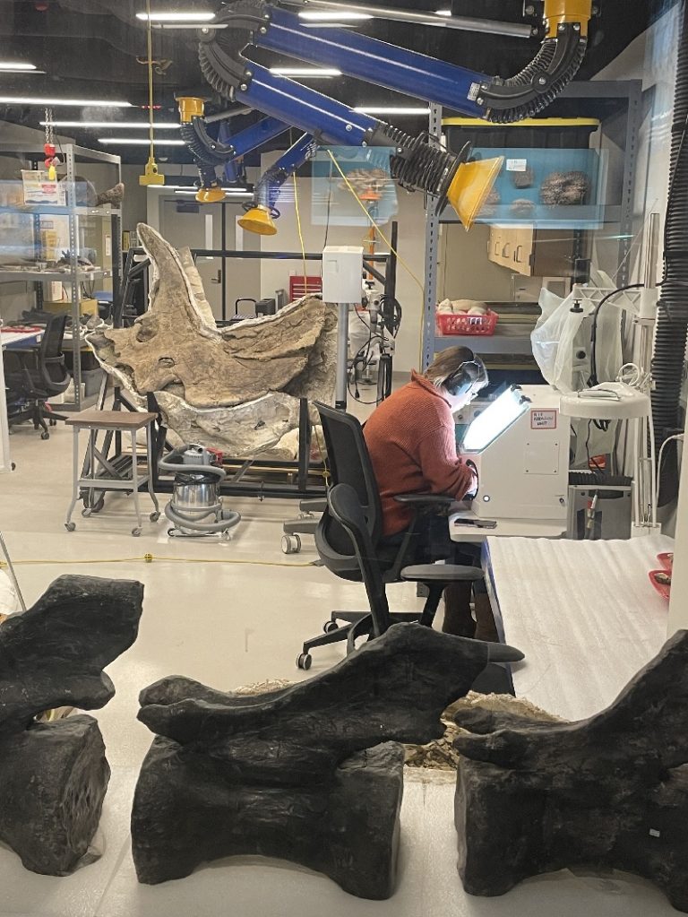 Partnership expands museum fossil collection and gives guests a front ...