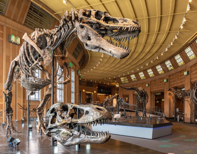 Museum of Natural History & Science (MNHS) - Cincinnati Museum Center