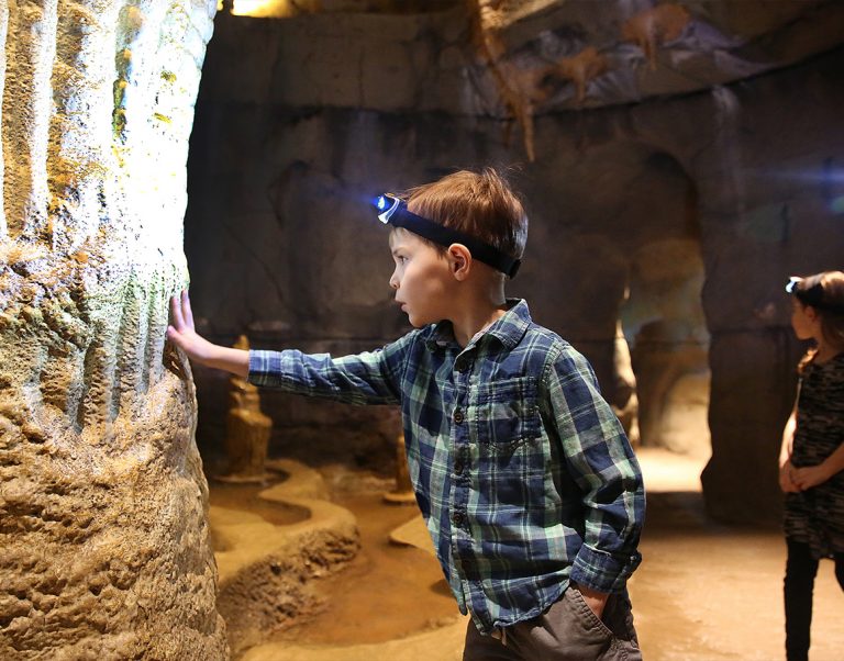 Museum of Natural History & Science (MNHS) - Cincinnati Museum Center