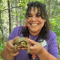 Aspiring Artists - Cincinnati Museum Center