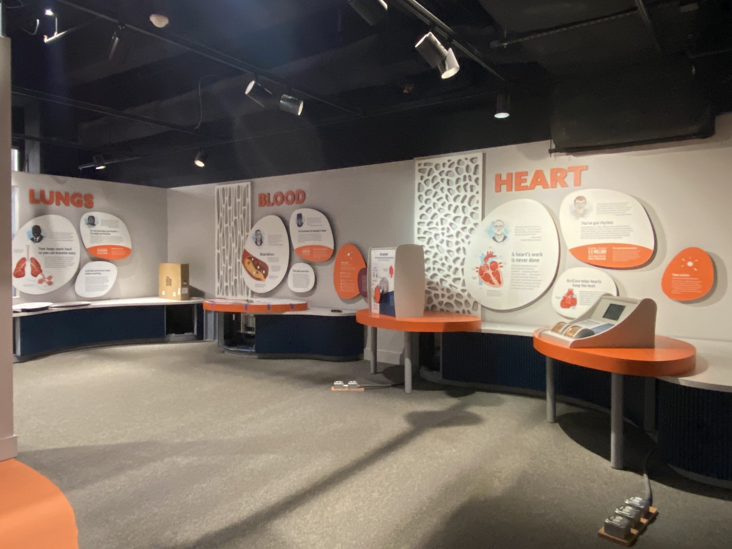 Riding the cardiovascular superhighway and other adventures in new ...