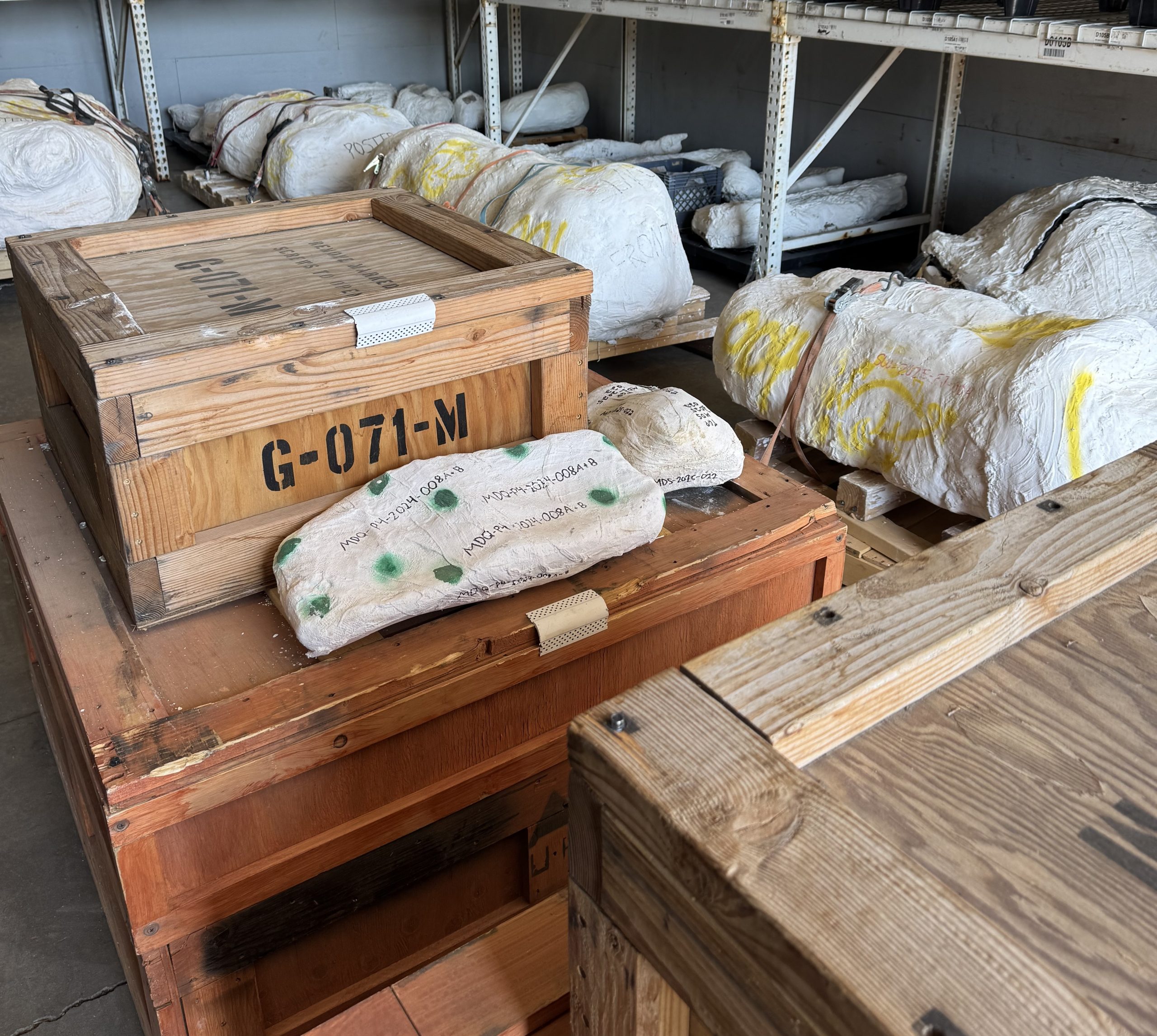 Cincinnati Museum Center fossil collection grows after summer field ...