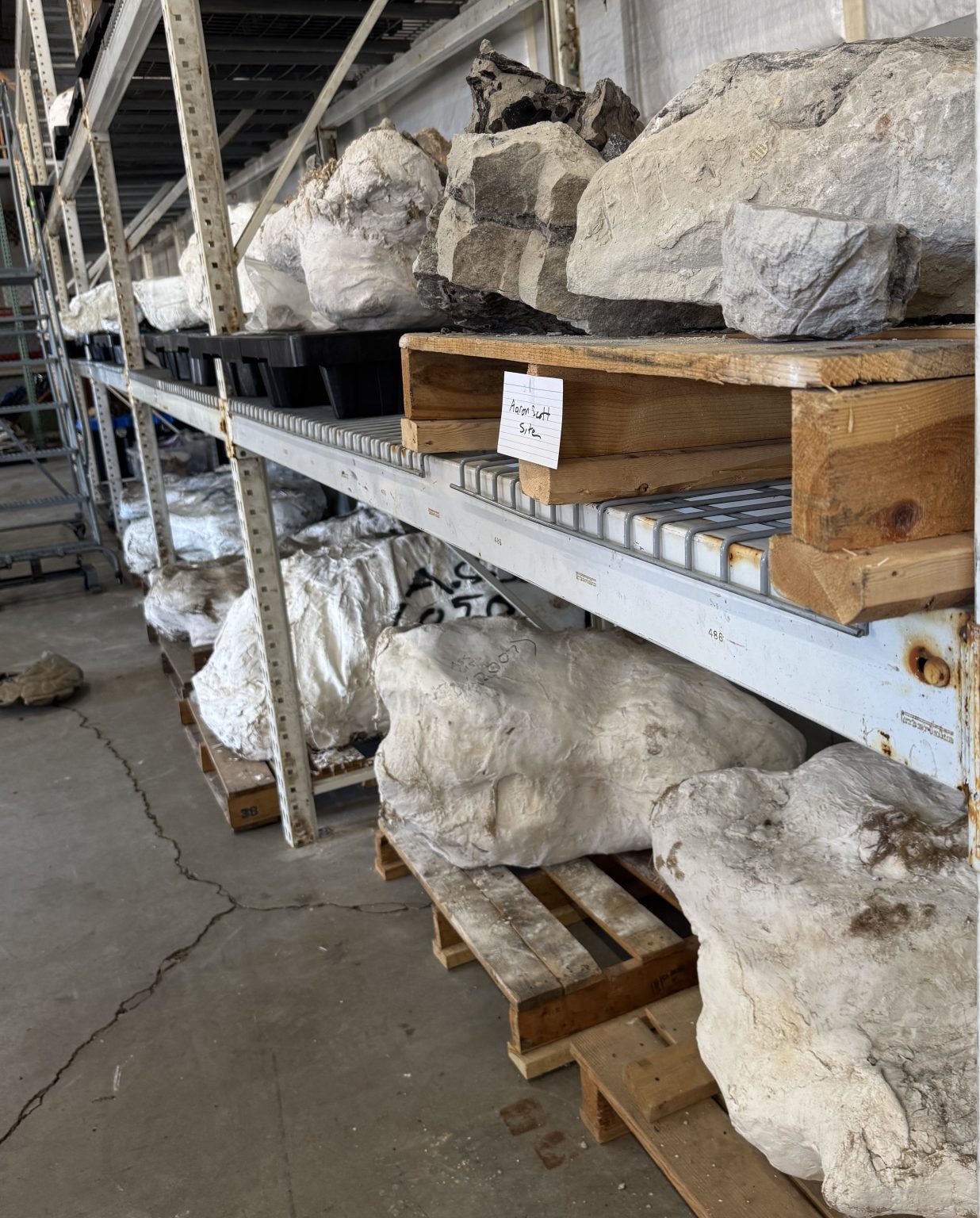 Cincinnati Museum Center fossil collection grows after summer field ...